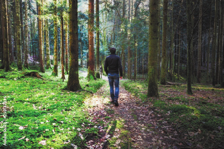 Practica Manejo de Luces y Sombras | PDF