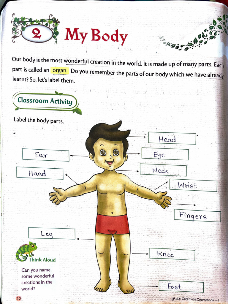 Std.2 EVS Ls - No.2 My Body | PDF