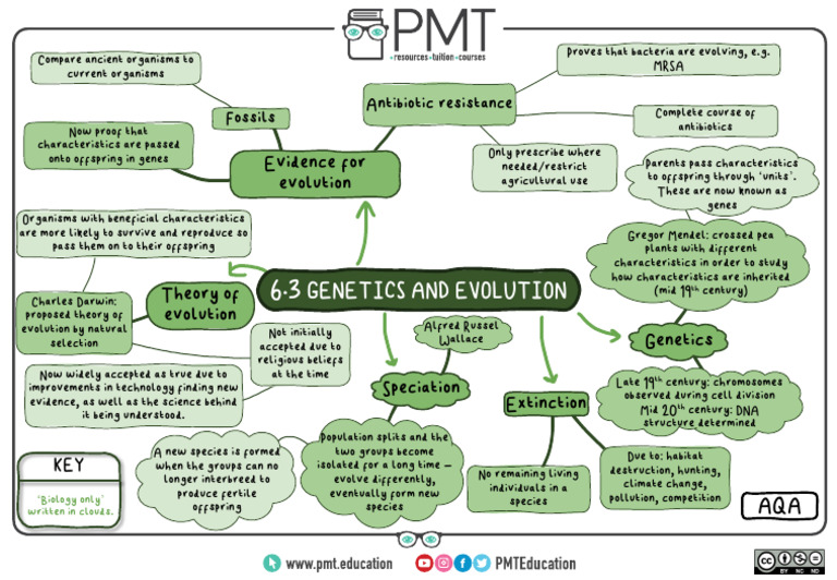 Genetics and Evolution: Key Concepts | PDF | Evolution | Genetics