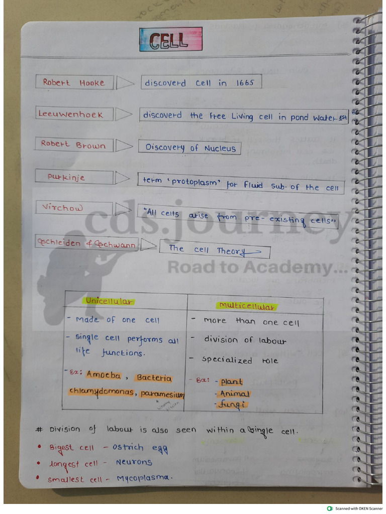 Biology Class Notes | PDF