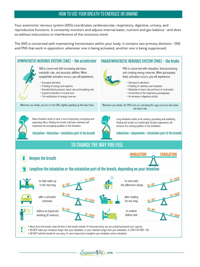 How To Use Your Breath To Energize or Unwind 1 | PDF