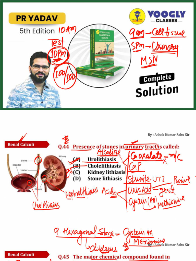 Class 3 Urinary System | PDF