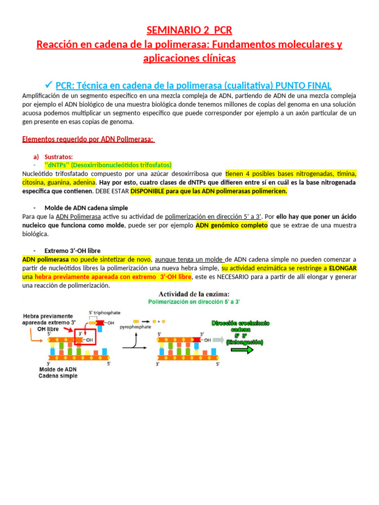 SEMINARIO 2 PCR y Variantes (Bio Cel) | PDF | Primer (Biología ...
