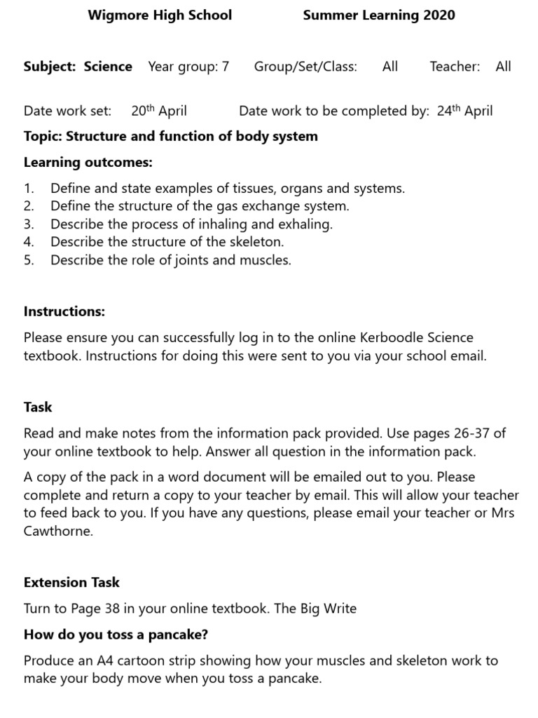 Year 7 Science: Body Systems Overview | PDF | Breathing | Respiratory ...