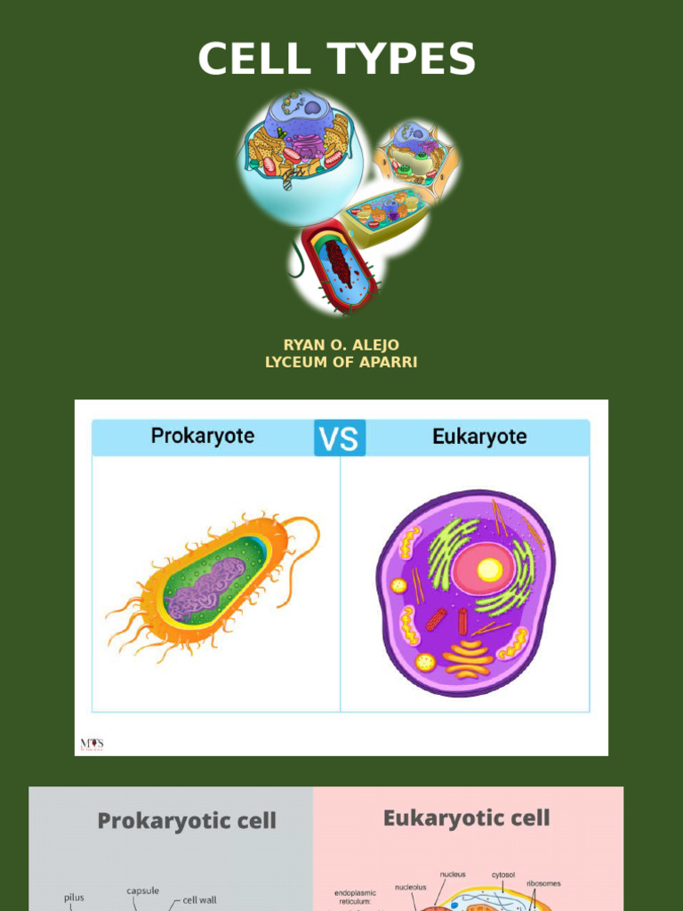 Types of Prokaryotic and Eukaryotic Cells | PDF