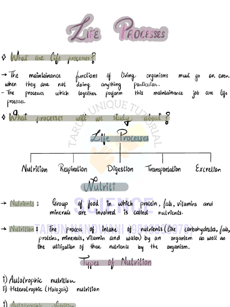 Nutrition and Digestion (Life Processes) Notes | PDF