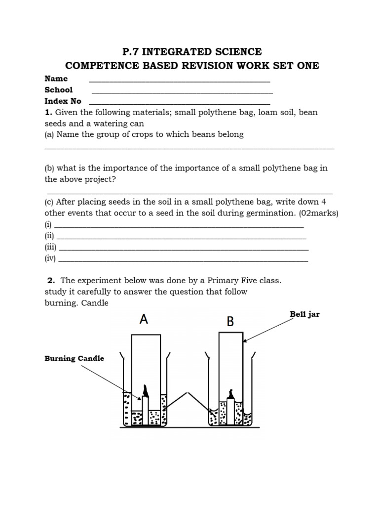 P.7 Integrated Science Revision Guide | PDF | Hearing
