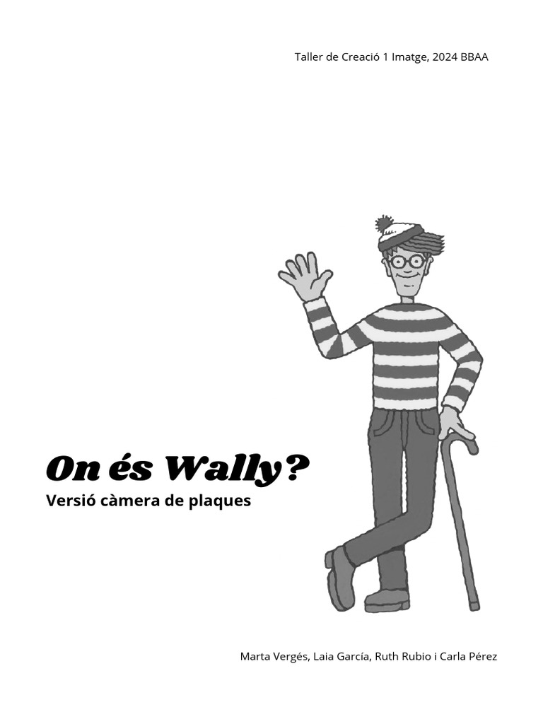 Càmera de Plaques | PDF