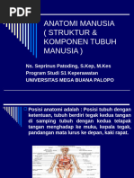 Istilah Istilah Regio Tubuh Manusia | PDF | Kajian Bahasa Asing | Sains ...