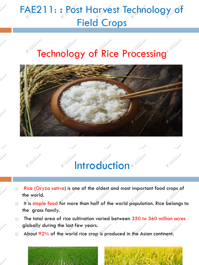 Rice Processing Technology Overview | PDF | Rice | Cereals