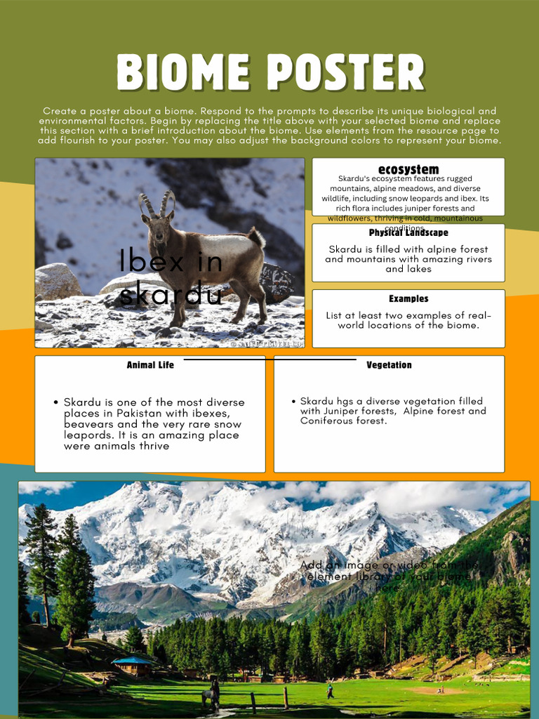 Biome Poster | PDF