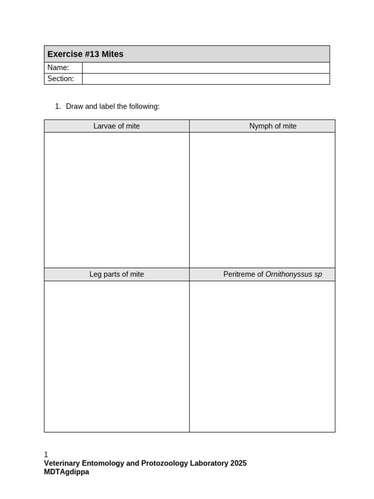 VPARA 3200 Lab Exercise 13 | PDF