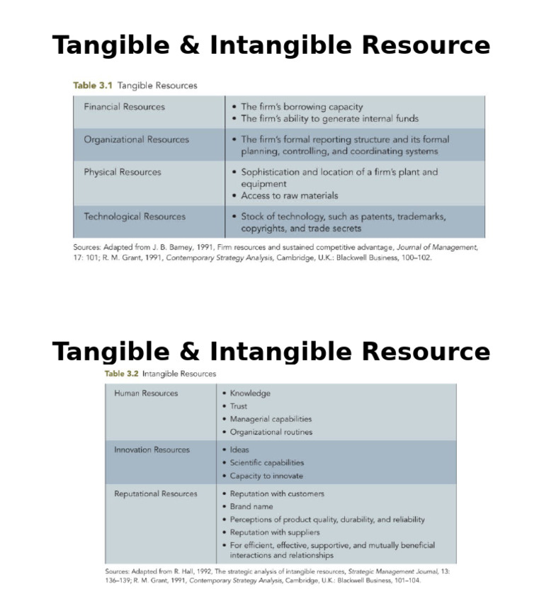 Tangible & Intangible Resources | PDF