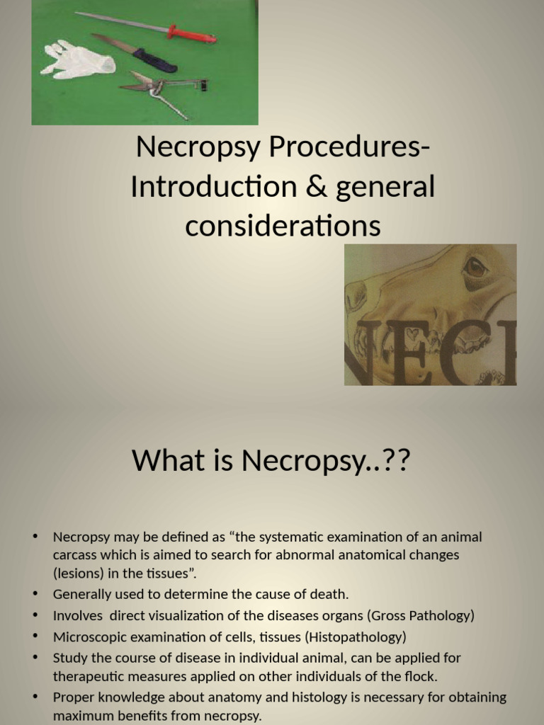 Necropsy Procedures and Guidelines | PDF | Autopsy | Histopathology