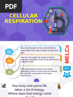 Cellular Respiration Quiz Guide | PDF | Cellular Respiration ...