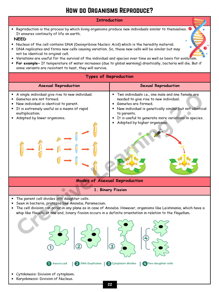 Overview of Organism Reproduction | PDF | Flowers | Sexual Reproduction