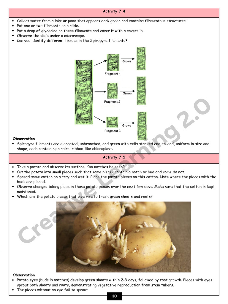 How Do Organisms Reproduce (Notes. With. Good Explanation | PDF | Seed ...