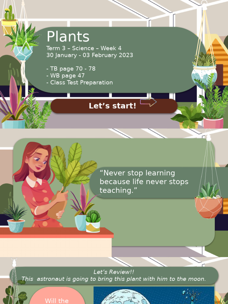 Science Grade 1 Plants Part 3 | PDF