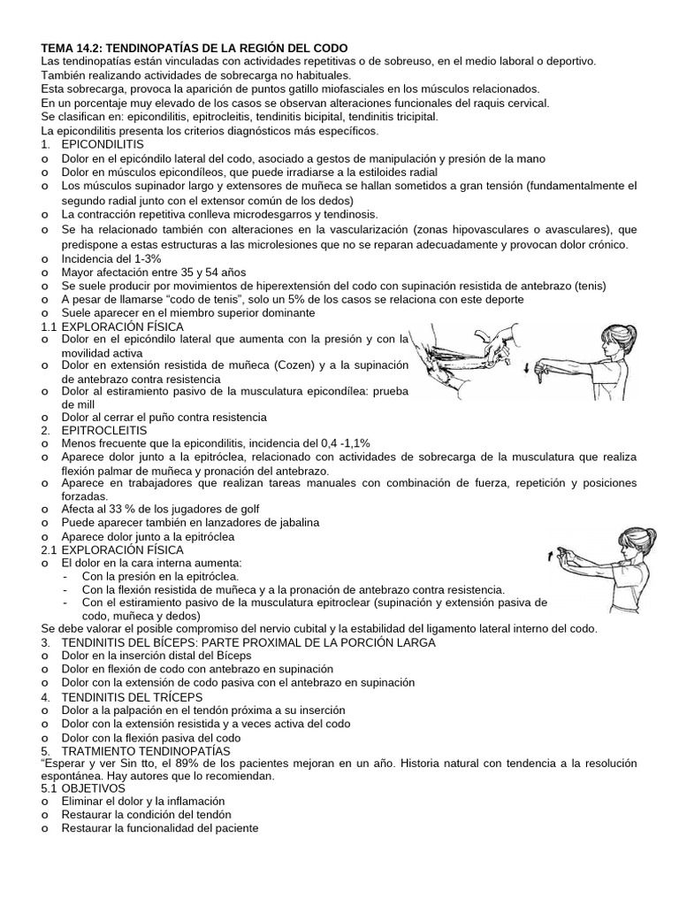 Tema 14.2 | PDF | Codo | Sistema musculoesquelético