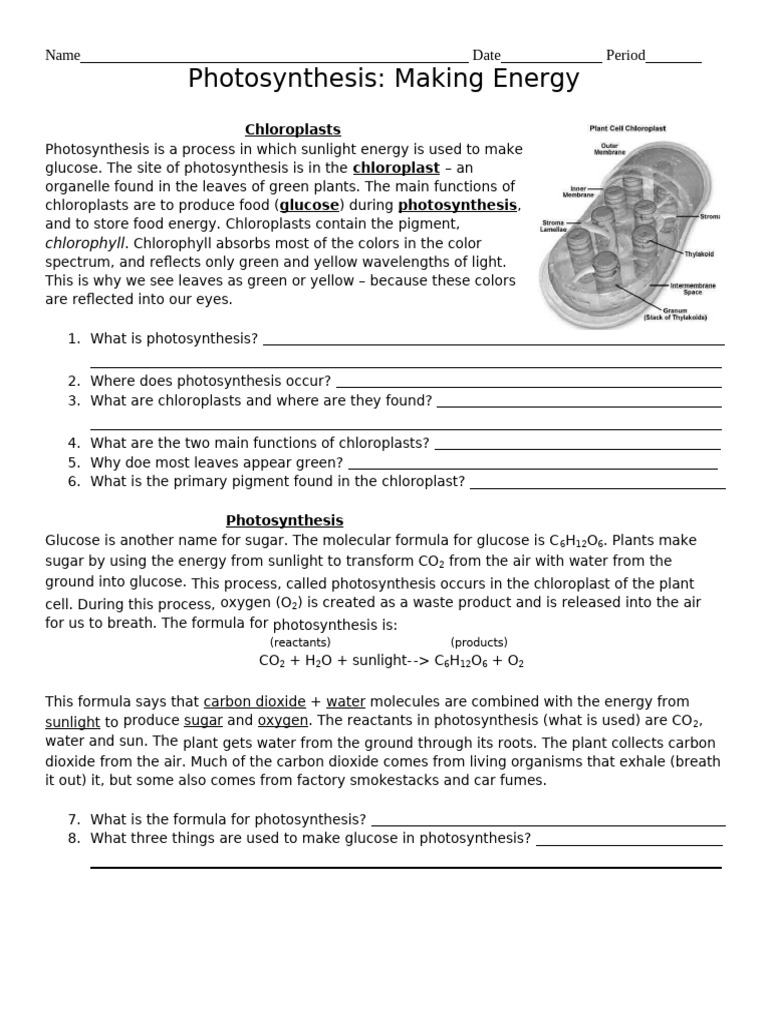 Photosynthesis: Energy Production Guide | PDF | Photosynthesis ...