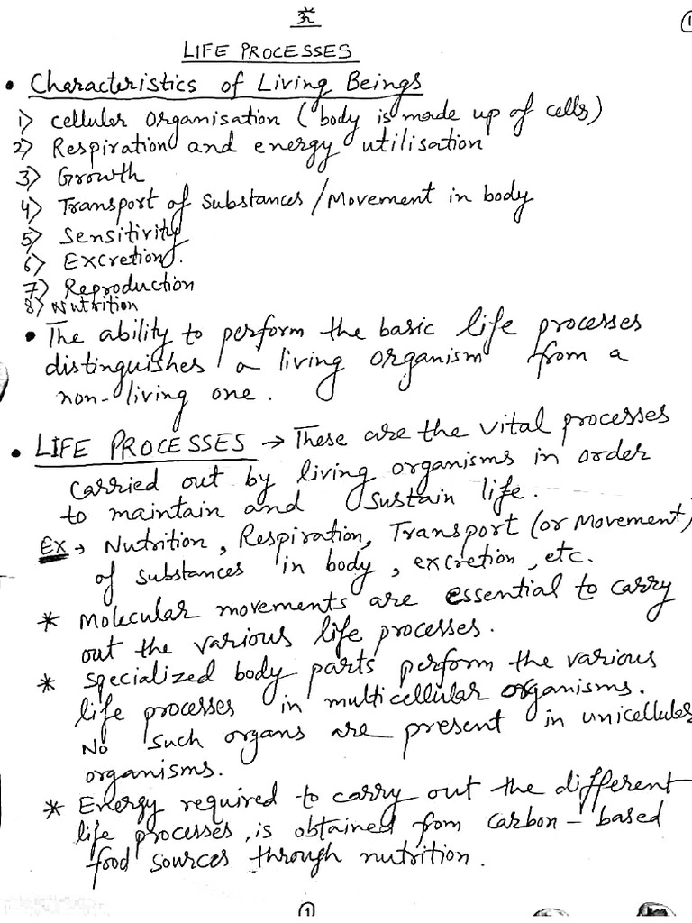 Life Process | PDF