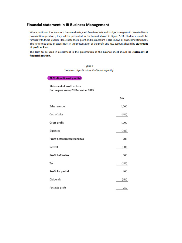 Financial Statement in IB Business Management | PDF