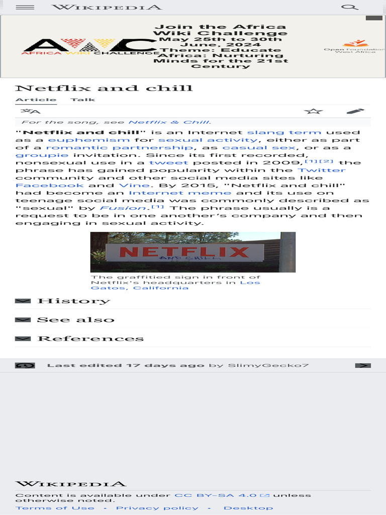 The Meaning of "Netflix and Chill" | PDF