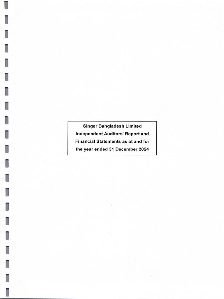 Audited Financial Statements 2024 | PDF