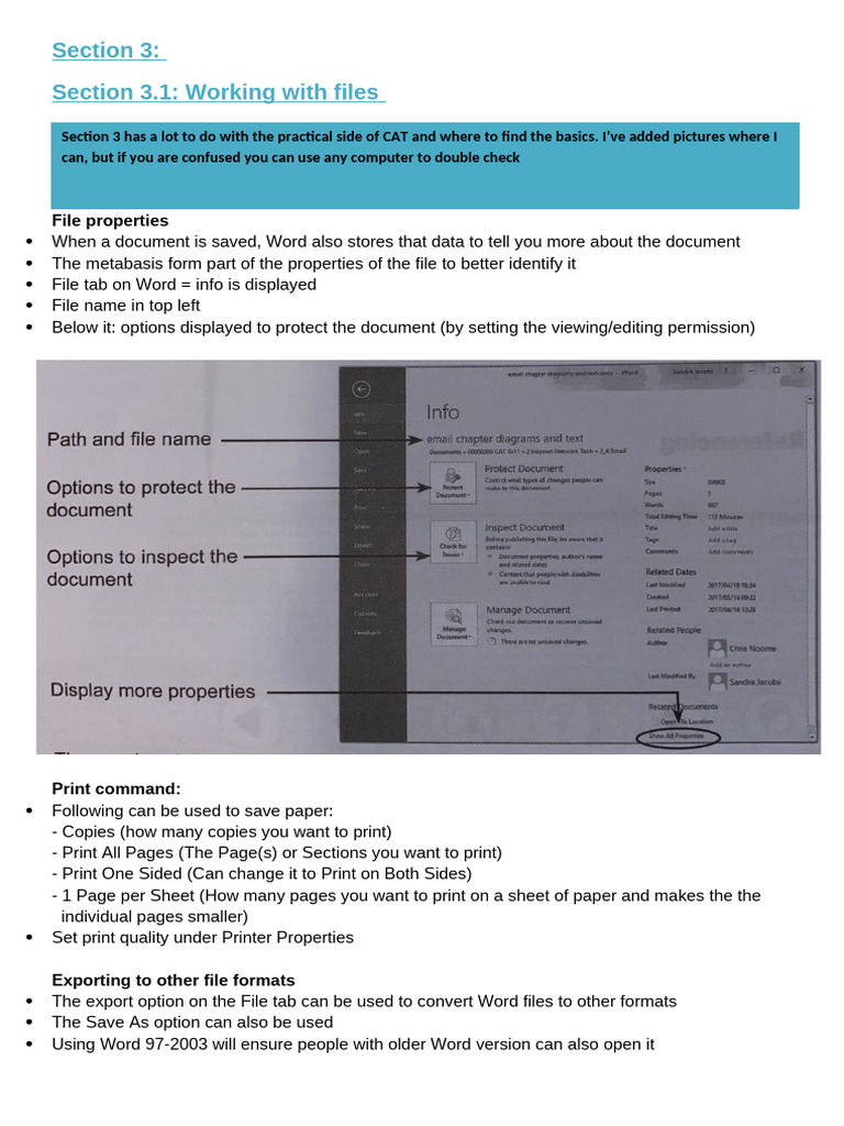 Microsoft Word File Management Guide | PDF | Microsoft Word | Computer File