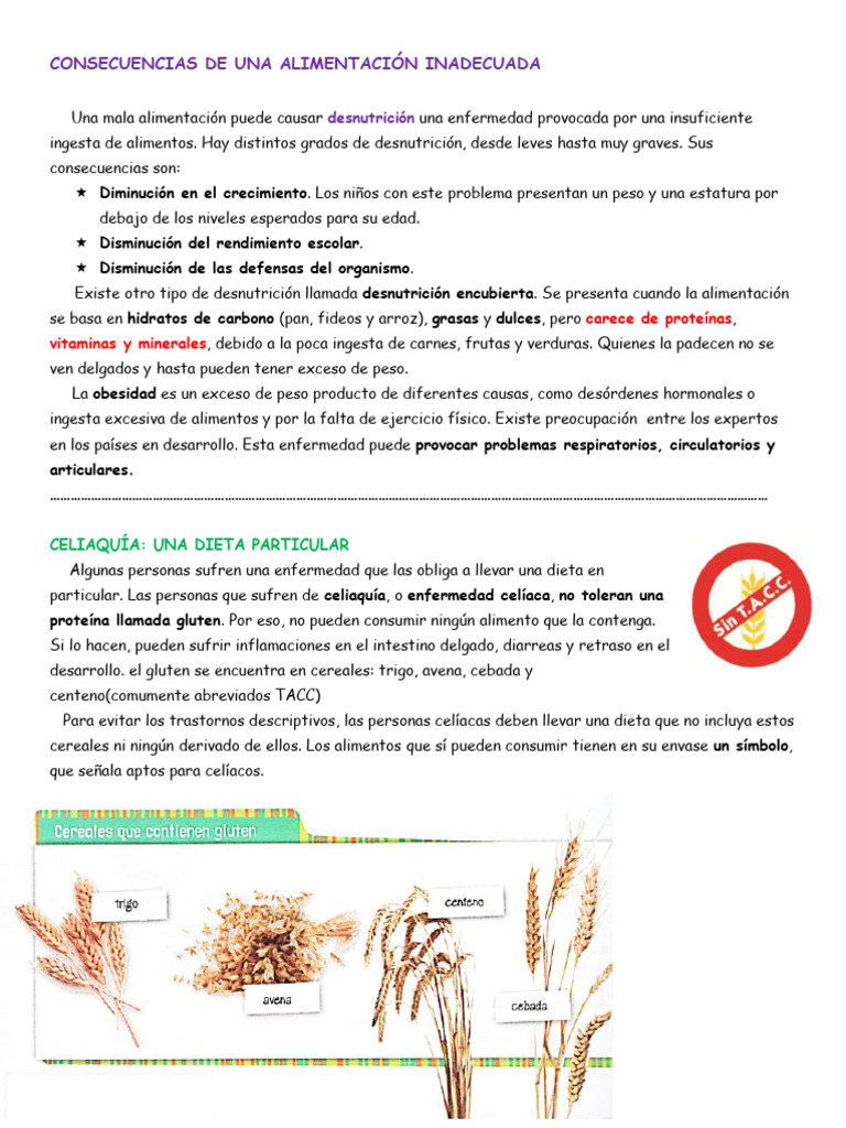 Consecuencias de Una Alimentación Inadecuada-1 | PDF
