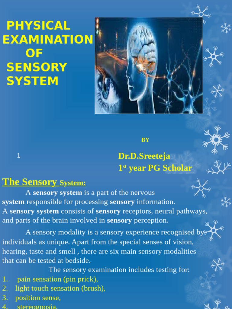 Sensory System Physical Examination Guide | PDF | Anatomical Terms Of ...