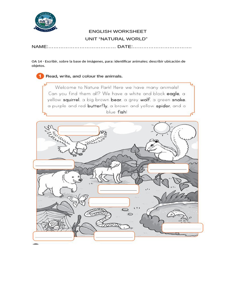 3° Natural World | PDF