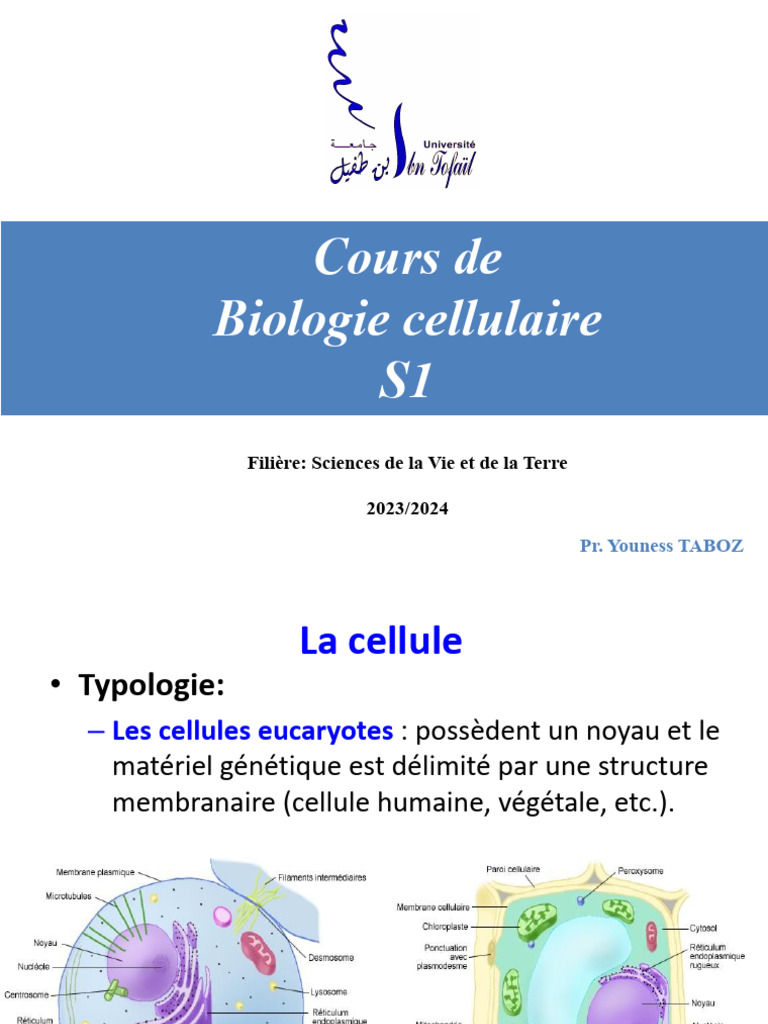 Résumé du Cours de Biologie Cellulaire | PDF | Membrane cellulaire | Méiose