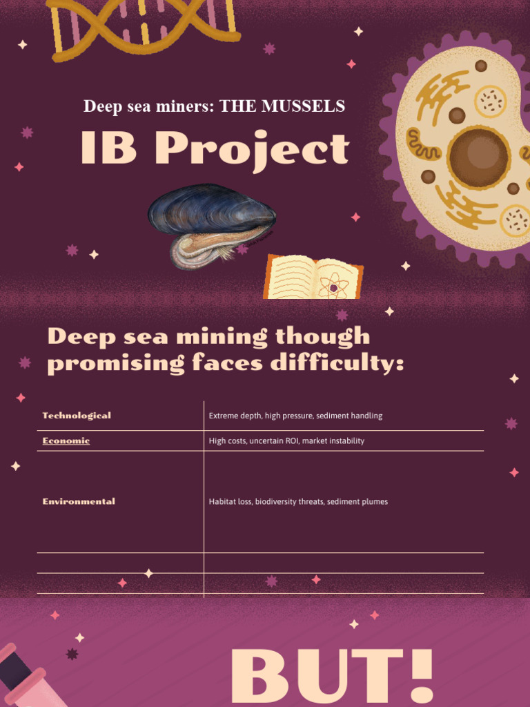 IB Project | PDF
