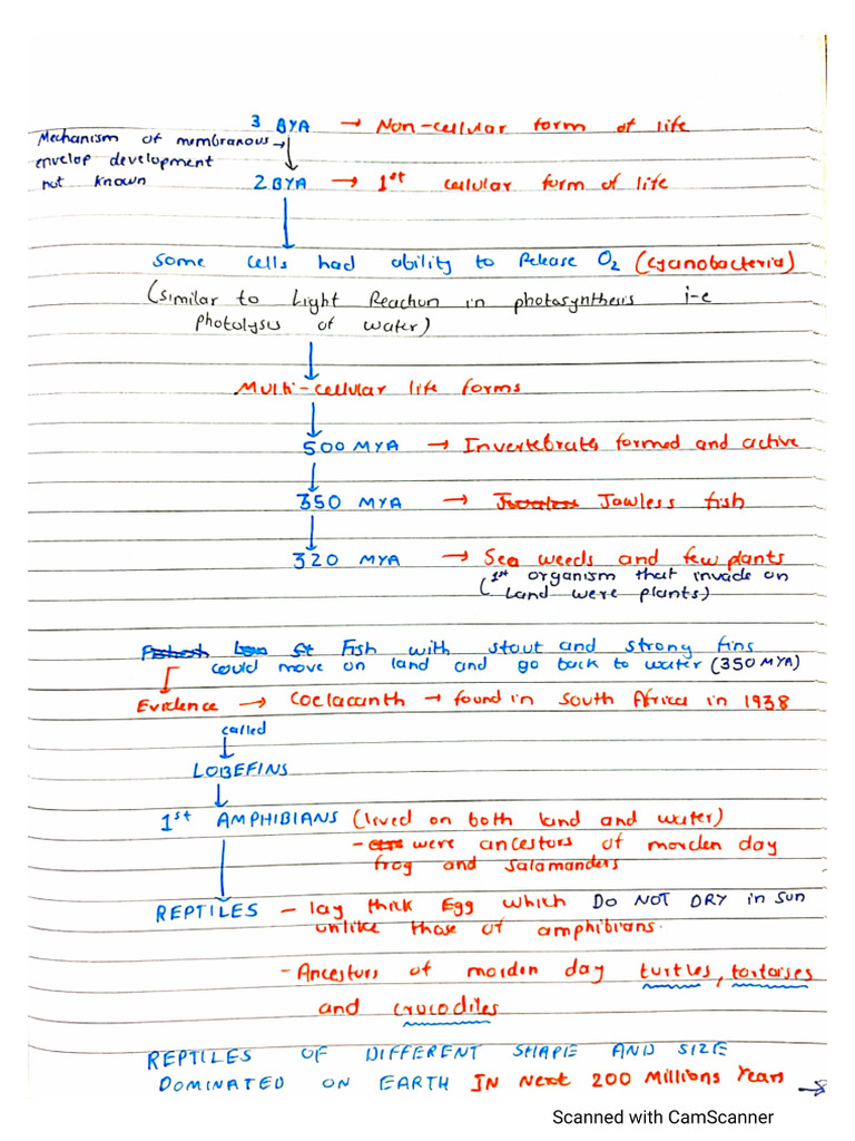 History of Evolution | PDF
