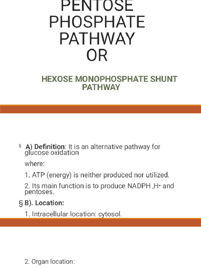 Pentose Phosphate Pathway | PDF