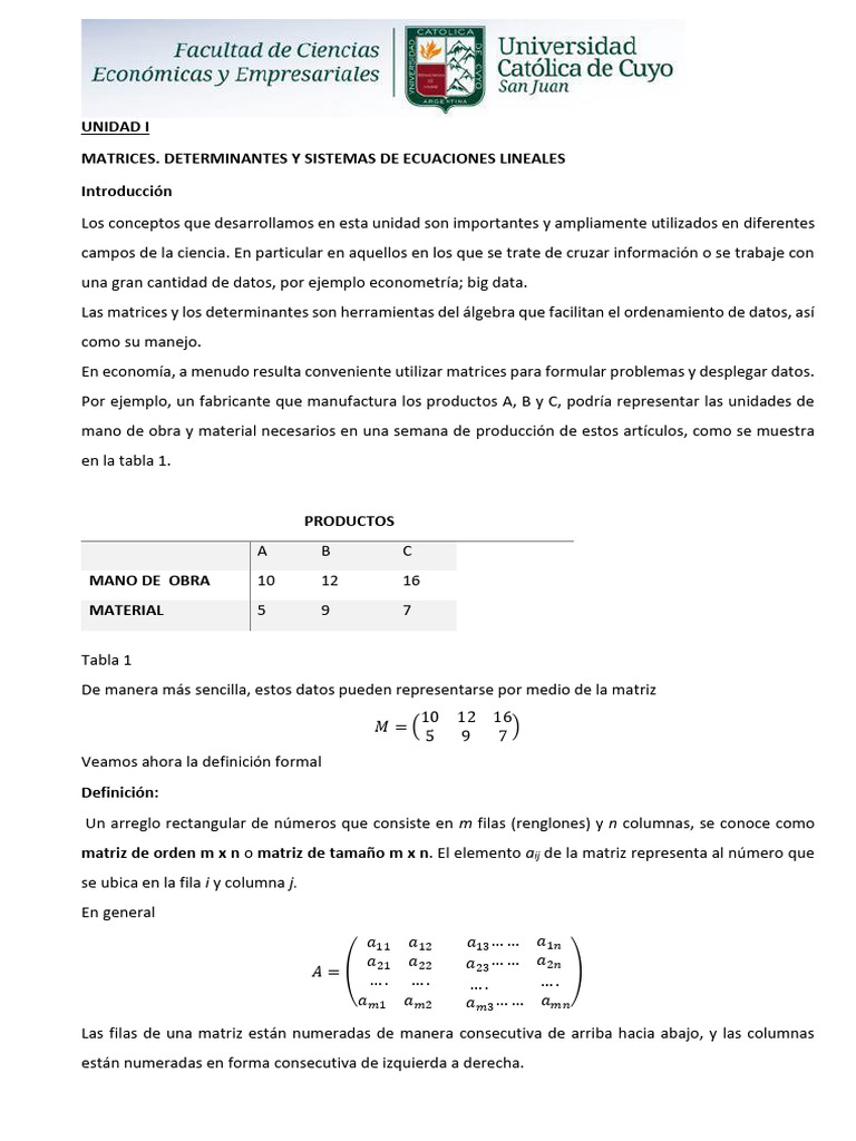 Fundamentos Esenciales de La Unidad 1 Sobre Matrices y Sistemas de ...