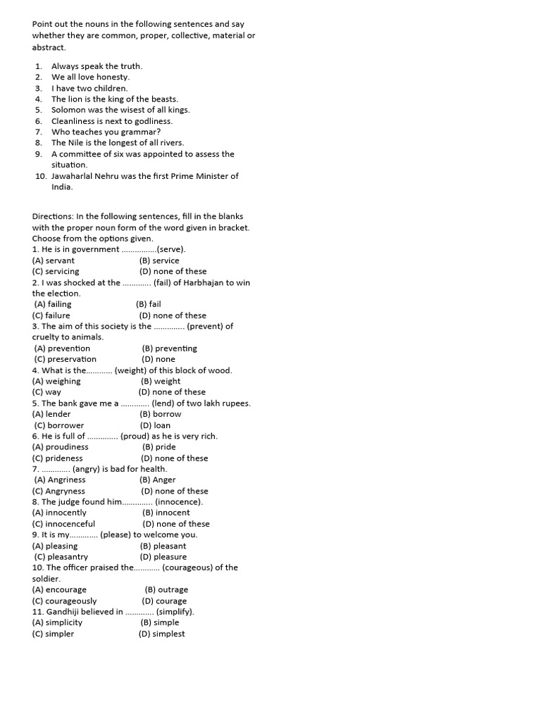 Noun Identification and Usage Worksheet | PDF