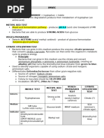 Bacterial Enzyme Tests: Catalase, Oxidase, TSI | PDF