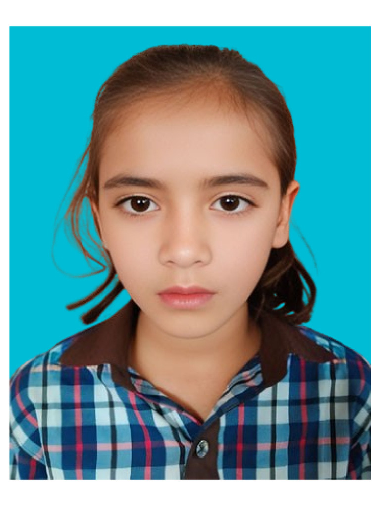 Hasiba Khatun I 24 | PDF