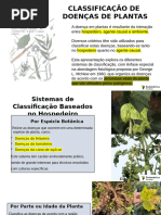 Herbicida Flexstar GT: Detalhes Técnicos | PDF | Agricultura | Enzima