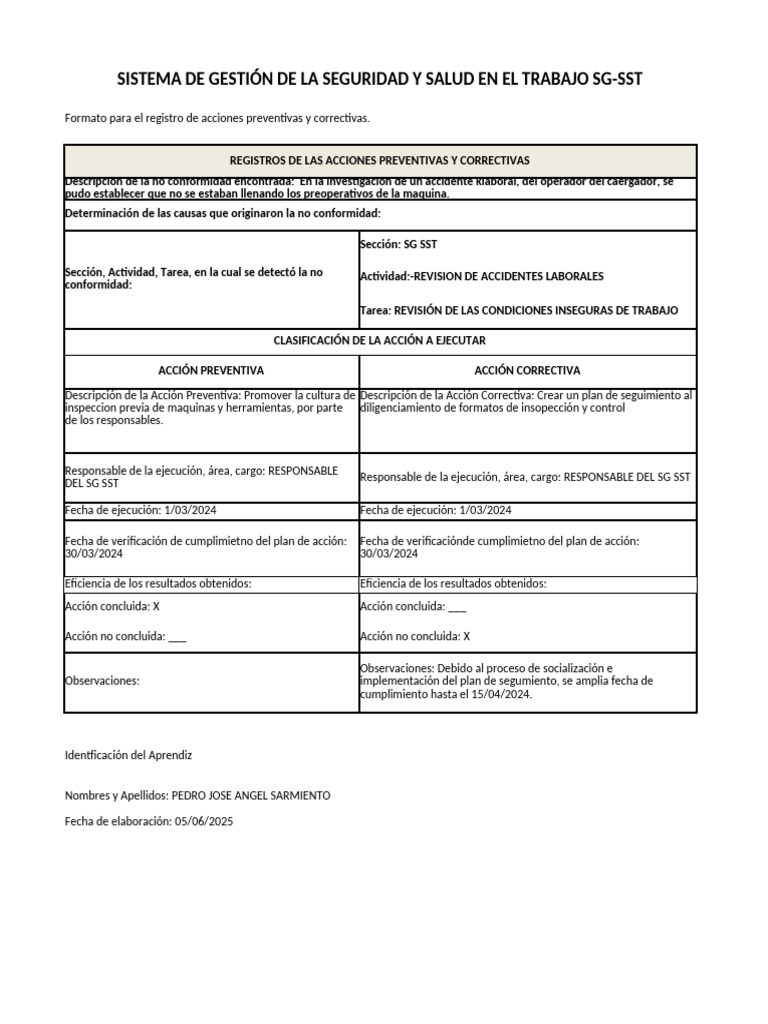 formato EVIDENCIAS MPG | PDF