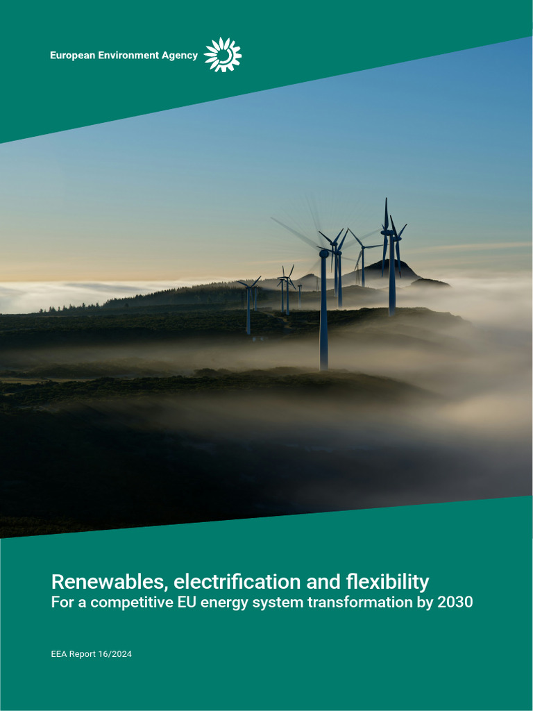 EEA Report On Grids | PDF | Climate Change Mitigation | Renewable Energy