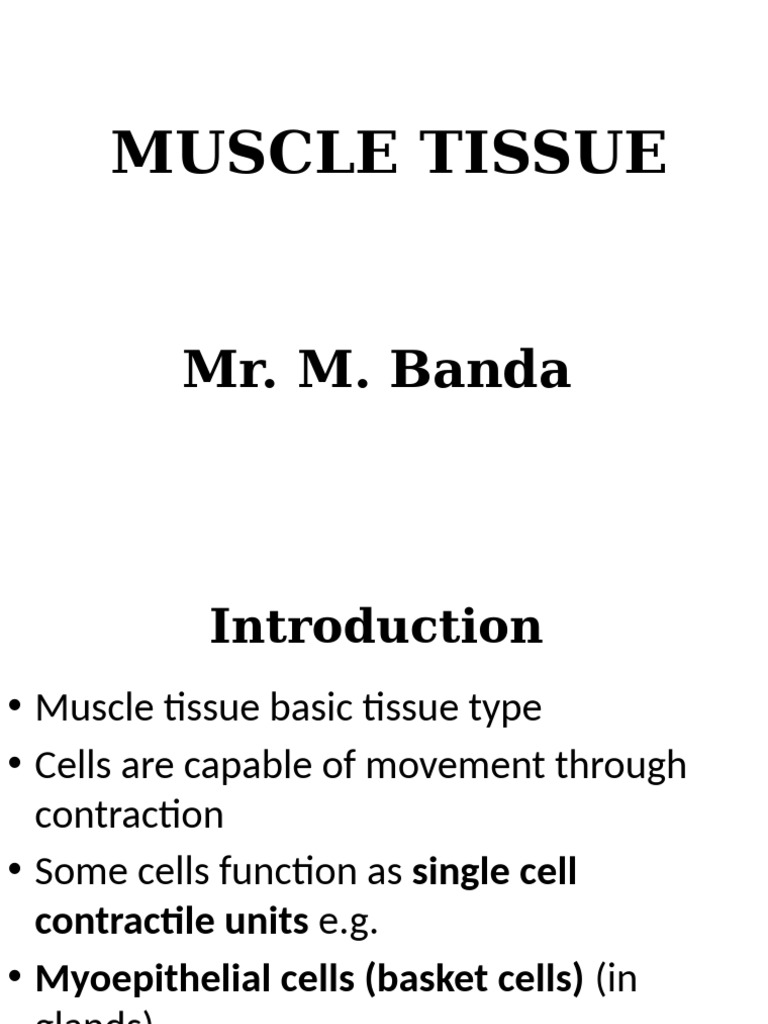 Overview of Muscle Tissue Types and Functions | PDF | Muscle ...