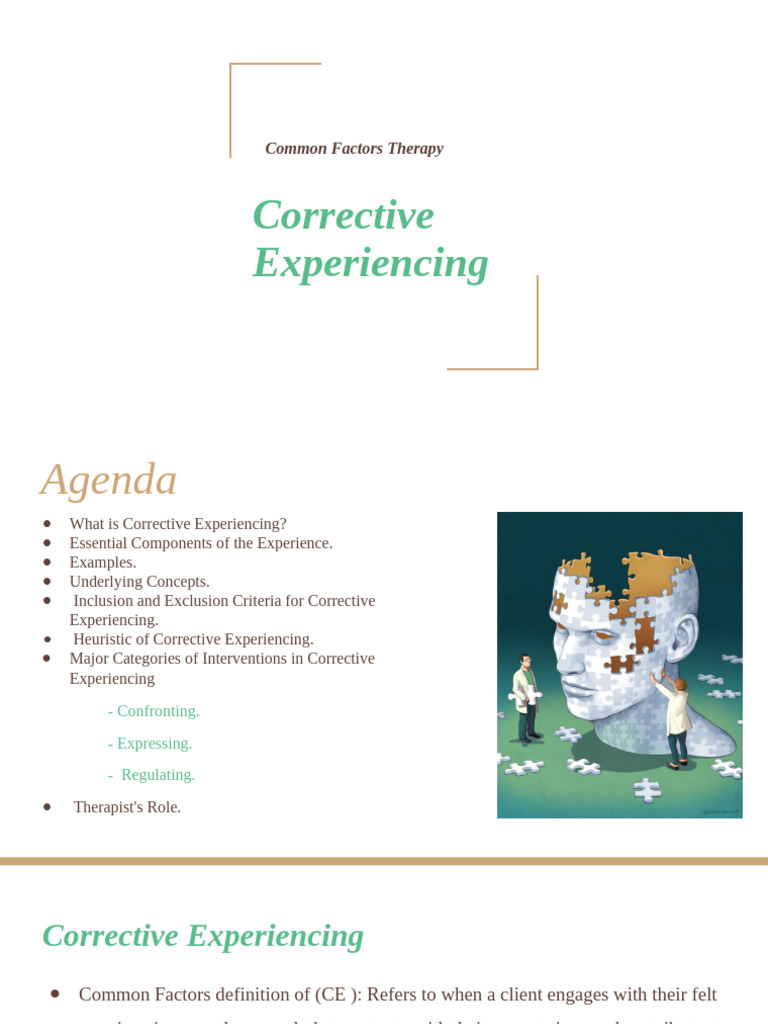 Corrective Emotional Experience in Therapy | PDF | Psychotherapy | Emotions