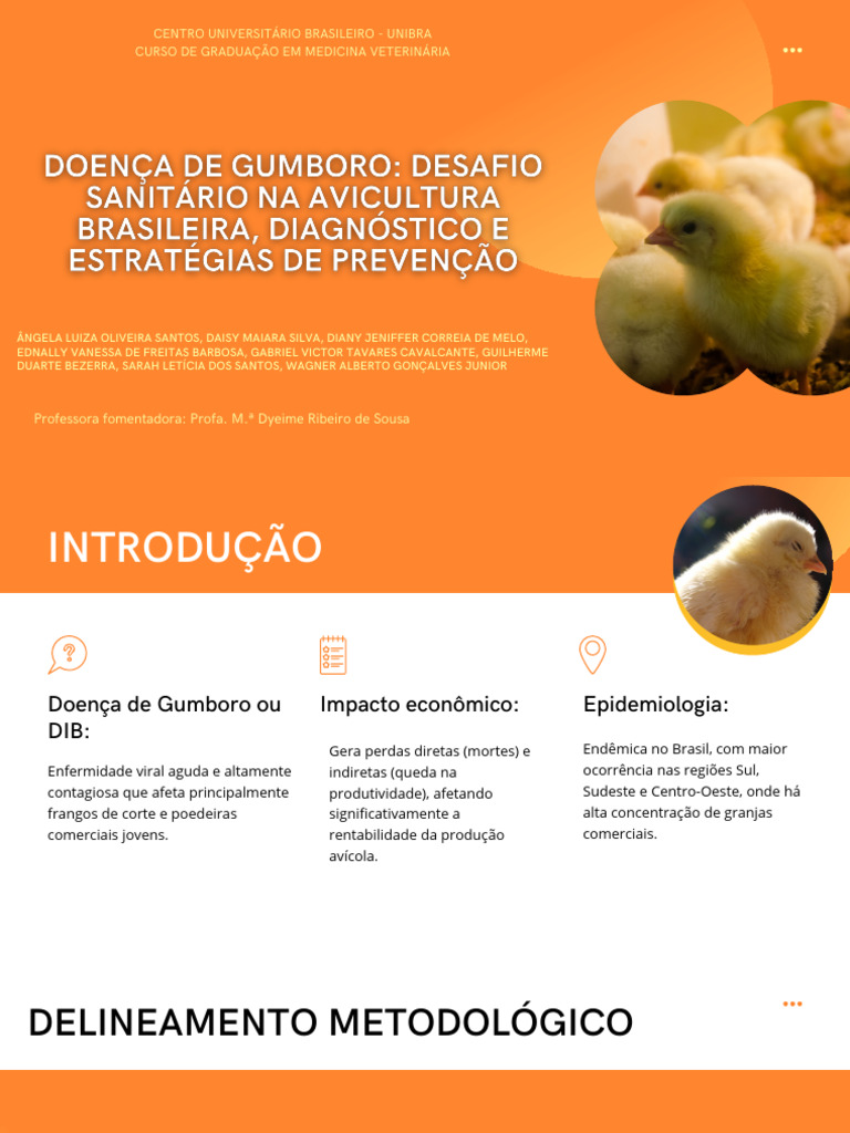 Sintomas da Doença de Gumboro | PDF | Vírus | Epidemiologia