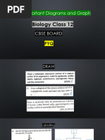Colour Vs Heat Absorption Class 12 Physics Investigatory Project | PDF ...
