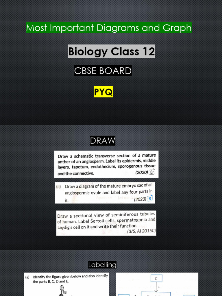 Key Biology Diagrams for Class 12 | PDF