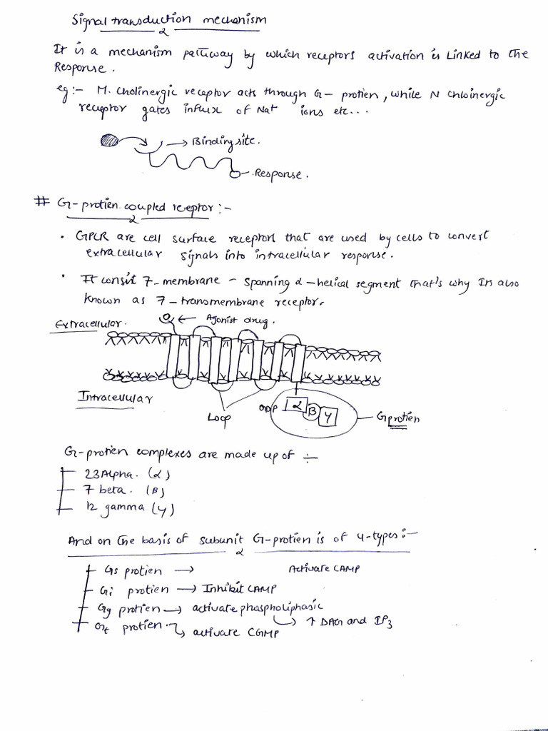 G-Protien and JAK-STAT Receptors | PDF