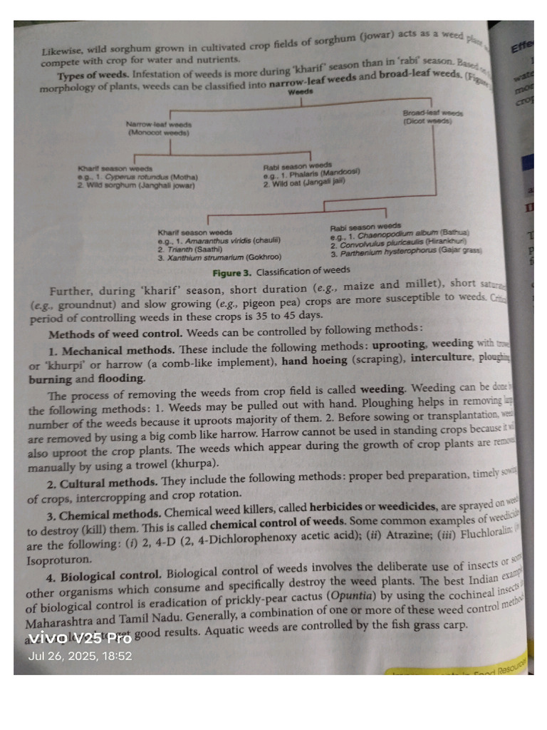 PDFGallery 20250726 190854 | PDF